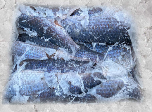 Frozen Not Scaled Mullet Fillets – Coastal Baits