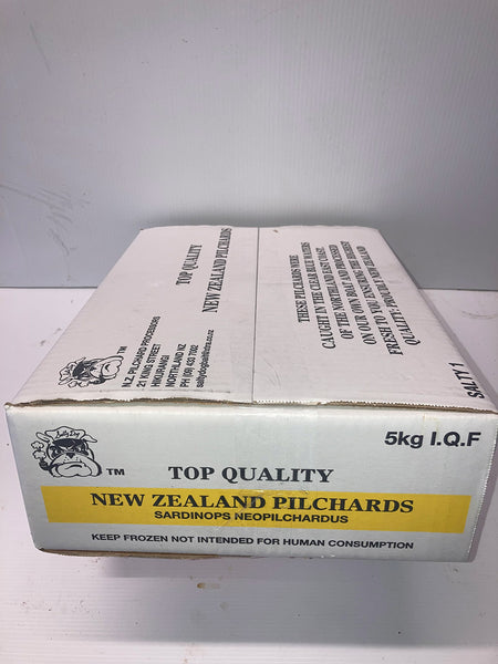 1st Grade Blue Pilchards – Coastal Baits