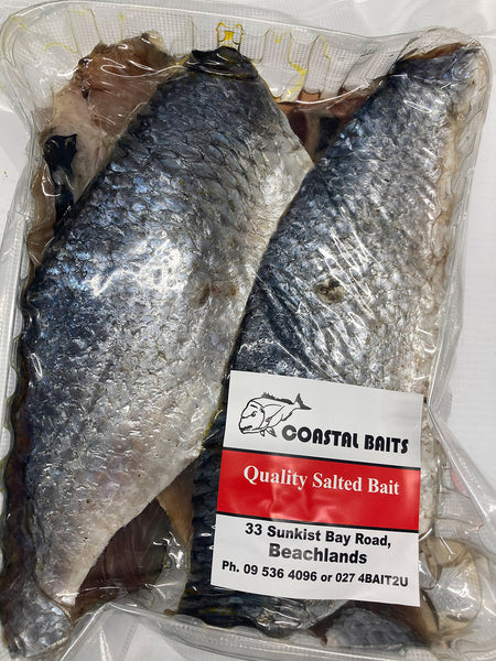 Salted Scaled NZ Mullet – Coastal Baits